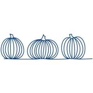 2020 BONUS Holiday Set - Pro-Stitcher