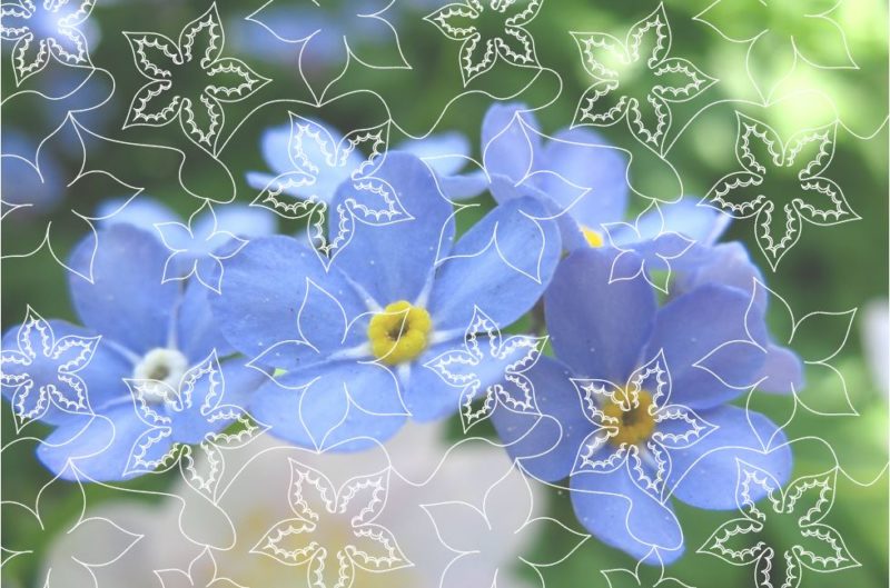 Wild Garden Flowers Edge to Edge - Pro-Stitcher