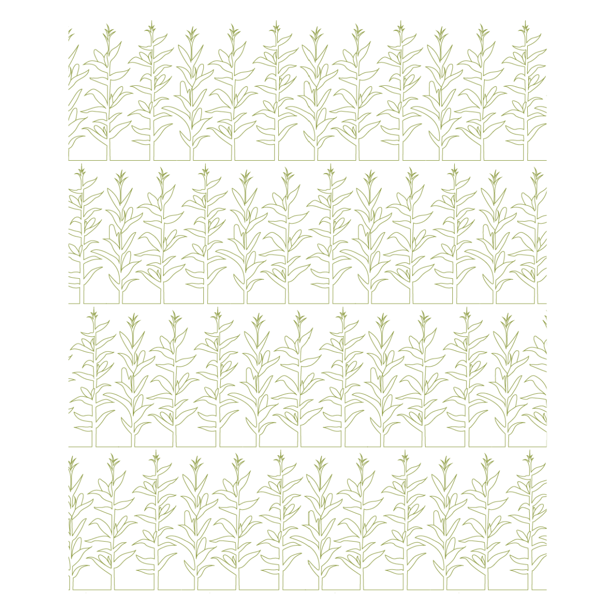 Corn Harvest Collection - Pro-Stitcher