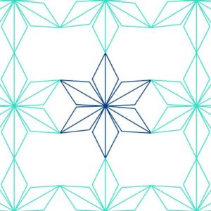 Sashiko Star E2E - Pro-Stitcher