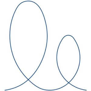 Beautiful Loops Border - Pro-Stitcher