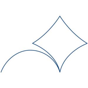 Allspice E2E - Pro-Stitcher