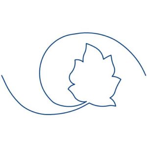 Tumble Leaf Border - Pro-Stitcher