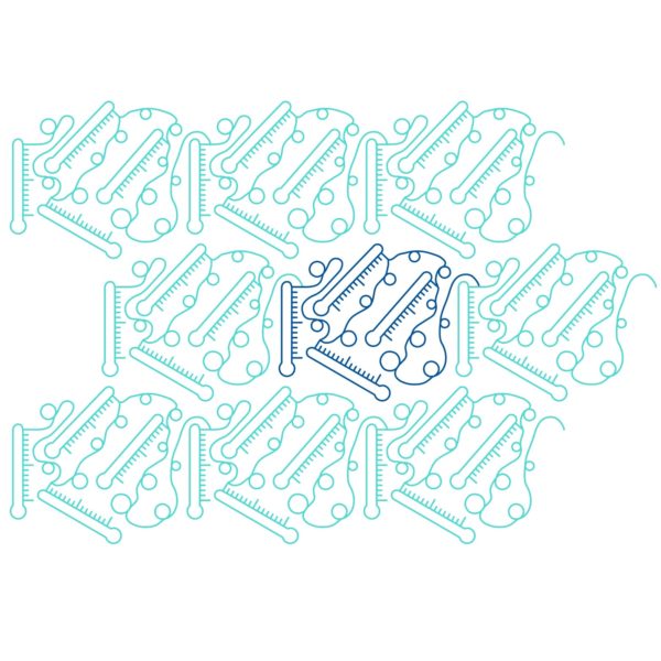 Edge To Edge | e2e - Page 13 of 52 - Pro-Stitcher