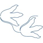 Dinosaur Tracks E2E - Pro-Stitcher