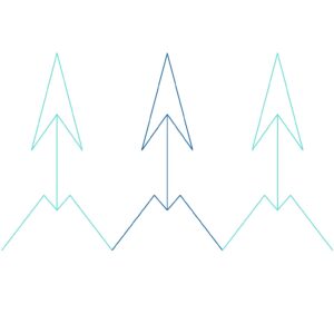 Dear Jane - Pro-Stitcher