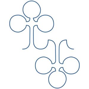 Clover - Pro-Stitcher