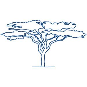 Dinosaur 12-Pc Set - Pro-Stitcher