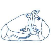 San Francisco Block - Pro-Stitcher