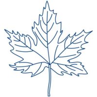 Acorn Block - Pro-Stitcher