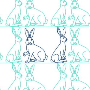 Rabbits E2E - Pro-Stitcher