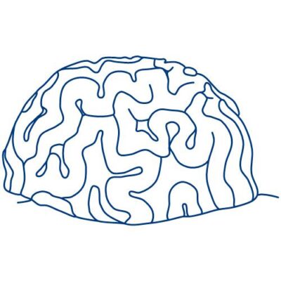 Sea Life - Brain Coral - Pro-Stitcher