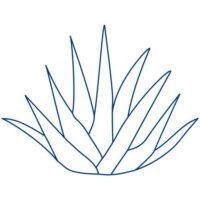 Succulent Cactus Block - Pro-Stitcher