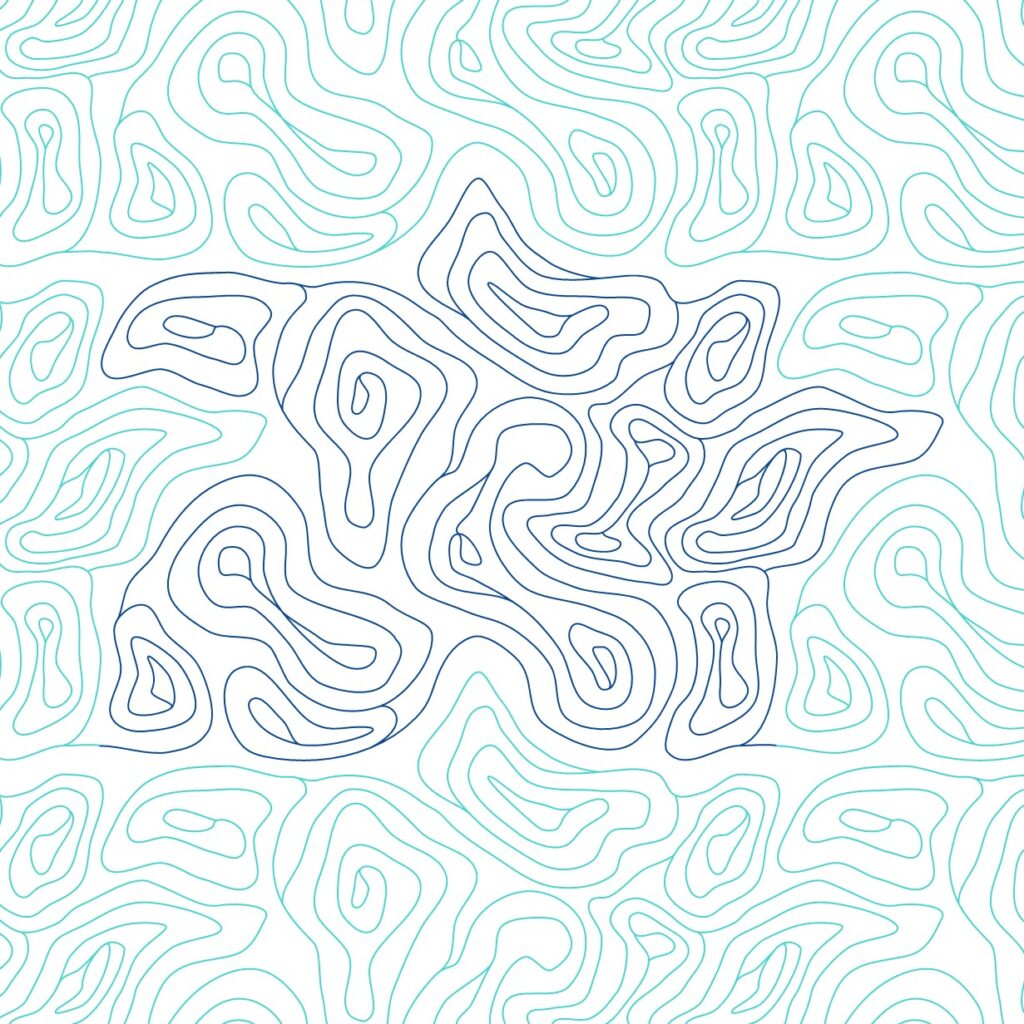 Topography Lines - Pro-Stitcher