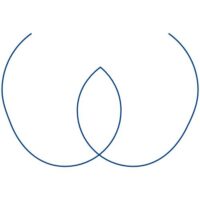 Varied Loops Border - Pro-Stitcher