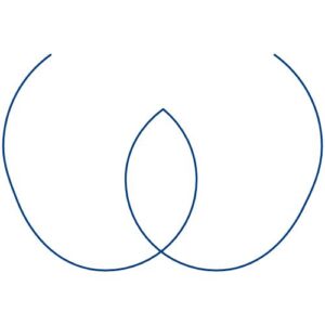 Varied Loops Border - Pro-Stitcher