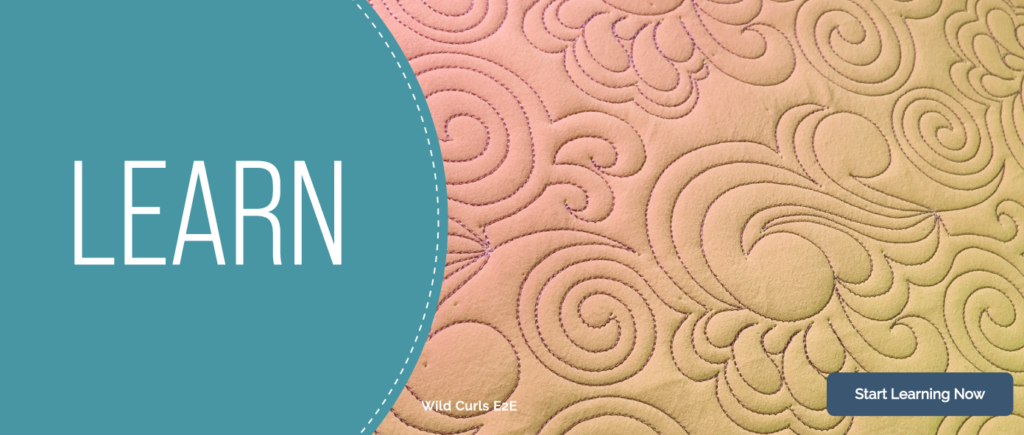 Pro-Stitcher - Home - The Most Advanced Computerized Quilting on the Planet