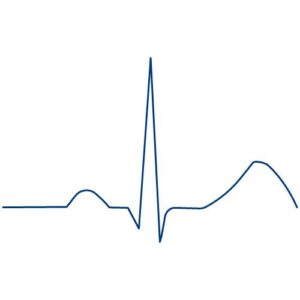 Normal Sinus ECG - Pro-Stitcher
