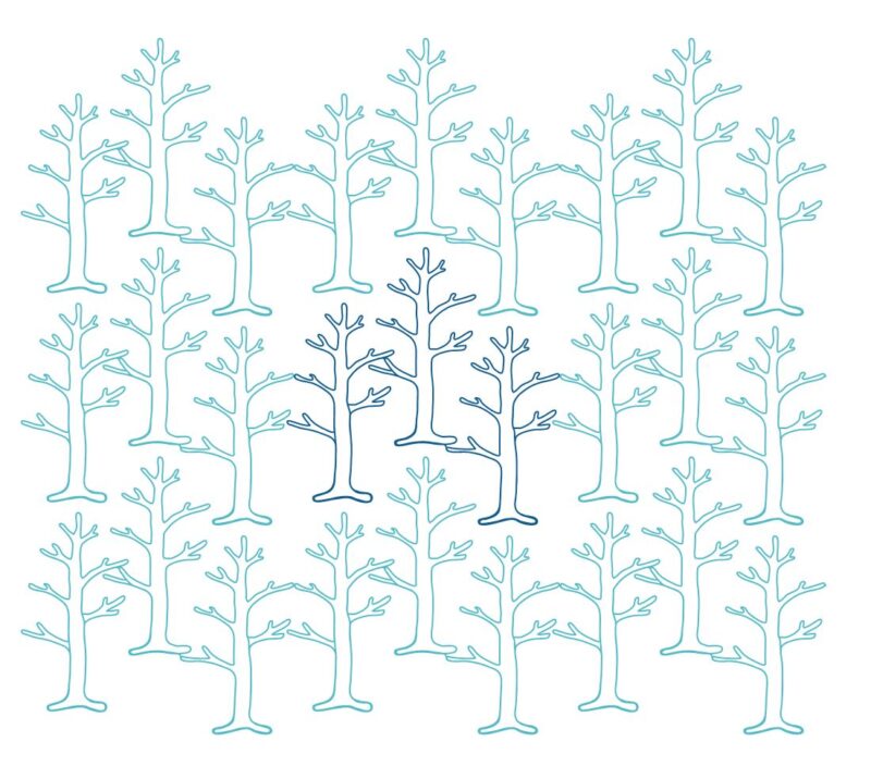 Winter Trees E2E - Pro-Stitcher