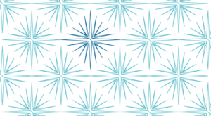 North Star Bundle - Pro-Stitcher